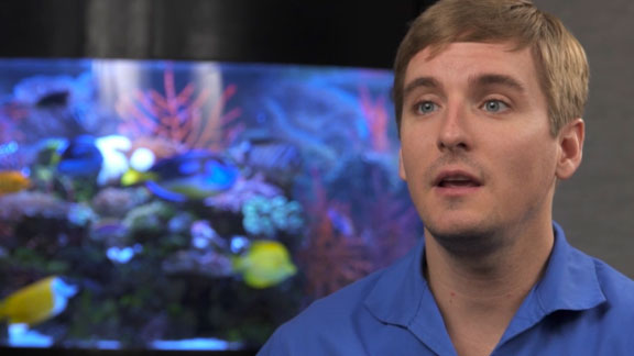 Top Periodontist in Fort Lauderdale, FL | Dental Videos